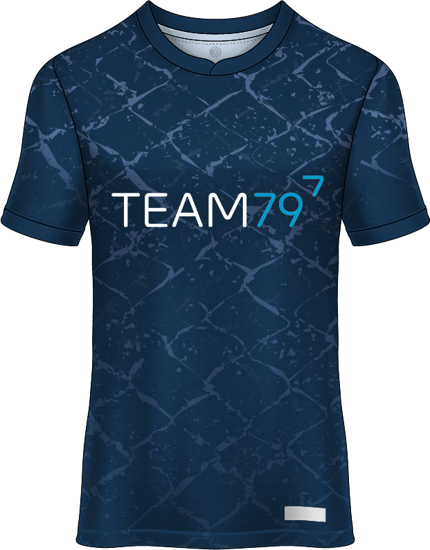 Unsere Expertise - team79 Beratungsgesellschaft